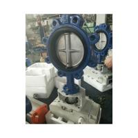 China Diaphragm Structure Awwa C504 Cast Iron Lug Type Butterfly Valve for OBM Customization for sale