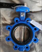 China DN350 PN16 Butterfly Valve EPDM Ductile Iron Wafer Flanged Lug Water for Water System for sale