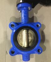 China DN350 PN16 Butterfly Valve EPDM Ductile Iron Wafer Flanged Lug Water for Water System for sale