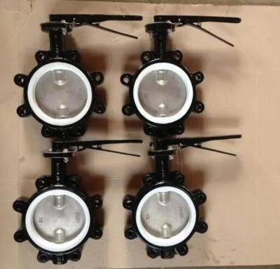 China Customizable DN600 DI CI Body SS Disc Lug Sewage Butterfly Valve for Various Industries for sale