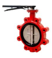 China Customizable DN600 DI CI Body SS Disc Lug Sewage Butterfly Valve for Various Industries for sale