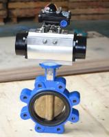 China Customizable DN600 DI CI Body SS Disc Lug Sewage Butterfly Valve for Various Industries for sale