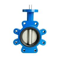 China Customizable DN600 DI CI Body SS Disc Lug Sewage Butterfly Valve for Various Industries for sale