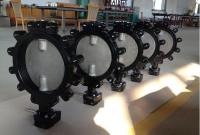 China Customizable DN600 DI CI Body SS Disc Lug Sewage Butterfly Valve for Various Industries for sale