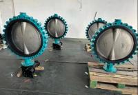China Customized DN300 Cast Ductile Iron Carbon Steel Fully Lug Wafer Type Butterfly Valve for sale