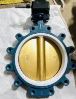 China General Ductile Iron Carbon Steel Operated Wafer Lug Butterfly Valve for OEM Port Size for sale