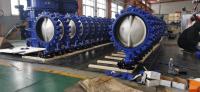 China Water Media Butterfly Valves SS316 Cast Iron As4087 WCB PN16 PN21 Connecting Lug Type for sale