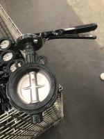 China Mingy Presents 10k 150lb PN16 Korea Standard DK Butterfly Valve with OEM Service for sale