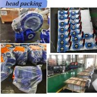 China OEM Supported Gas Double Flange Butterfly Valve with Gearbox Pn6/Pn10/Pn16 for sale