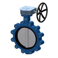 China Low Temperature Media Customized API509 Cast Iron Lug Butterfly Valve with Lever for sale
