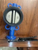 China 18 Inch Butterfly Valve Wafer Type Dual Plate Check with Customized Service and Support for sale