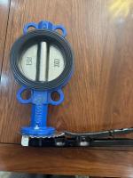 China Customized Service Manual Butterfly Valve for OEM Ductile Iron Flange Lug Wafer Type for sale
