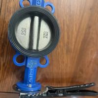 China Customized Service Stainless Pneumatic Butterfly Valve DN25 for Smooth Operation for sale