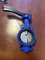 China OEM Port Size Cast Iron Extension Butterfly Valve with Supportive After-sales Service for sale