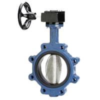China Hydraulic Butterfly Valves Cast Iron Extension Stem Flange PVC Pneumatic 1 Inch Sanitary for sale