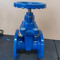 China Customized Port Size Gate Valve Flanged Resilient Seated for Mining Applications for sale