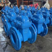 China Water Control with 12inch Resilient Seated Slide Gate Valve Standard GB DIN ANSI GOST for sale