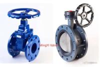 China Water Media DN600 PPR Fitting Gate Valve with OEM Flexibility Offered for sale