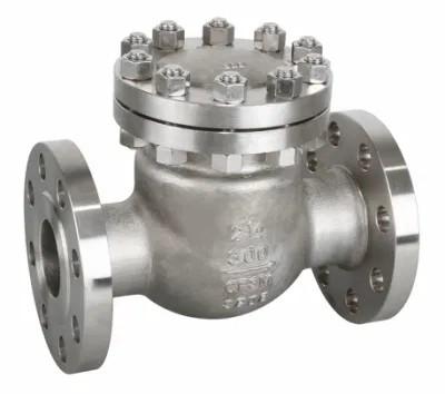 China Newest Design Metal Swing Check Valves and Fitting with After-sales Service Support for sale