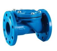 China Medium Temperature DN100 Pn16 Asin Cast Iron Rubber Flapper Check Valve for OEM Support for sale