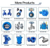 China Depends on Specifications CI Body Material Wafer Type Swing Check Valve with Dual Plate for sale