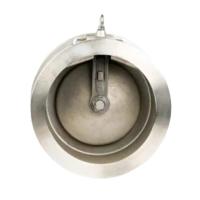 China Manual Stainless Steel Flange Pn25 DN 50 Wafer Lift Single Plate Swing Check Valve for Drain Valve for sale