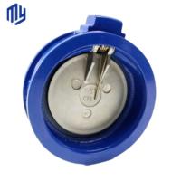 China Single Plate Swing Check Valve in Stainless Steel Flange Wafer Design for Drain Valve for sale