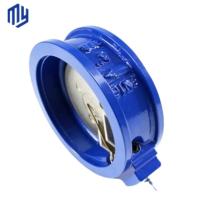 China Single Plate Swing Check Valve in Stainless Steel Flange Wafer Design for Drain Valve for sale