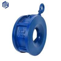 China Single Plate Swing Check Valve in Stainless Steel Flange Wafer Design for Drain Valve for sale
