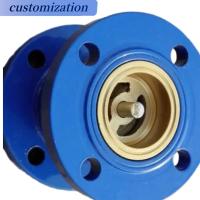 China Gas and Hydraulic Double Flanged Globe Silent Check Valve for Industrial Applications for sale