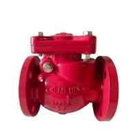 China Customized Support Non Return Gas Swing Check Valve DN 600 for Gas Media and OEM Support for sale