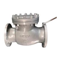 China ODM Support Multi Single Disc Door Flanged Swing Type Check Valve Drain Valve CE Certificate for sale