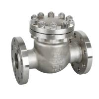 China Customized Service Multi Single Disc Door Flanged Swing Type Check Valve Drain Valve for sale