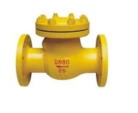 China Food Grade Dn 600 Cast Iron Swing Check Valve for Low Temperature Media Handling for sale