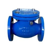 China Flange Joint Ends BS Standard Swing Check Valve for OBM Customized Solutions and More for sale