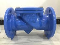 China Customized ODM Support for Swing Type Flange Check Valve and Flange for sale