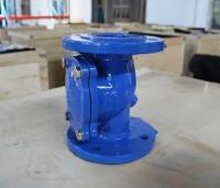 China Customized ODM Support for Swing Type Flange Check Valve and Flange for sale