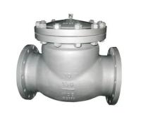 China CI/DI/WCB/SS DN250 PN16 Flange End Fire Swing Check Valve with Customizable Port Size for sale