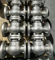 China CI/DI/WCB/SS DN250 PN16 Flange End Fire Swing Check Valve with Customizable Port Size for sale