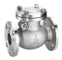 China CI/DI/WCB/SS DN250 PN16 Flange End Fire Swing Check Valve with Customizable Port Size for sale