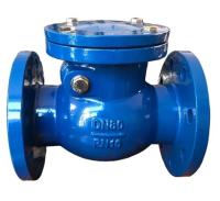China Industry-Grade Swing Bolted Check Valve BS5163 for Medium Temperature for sale