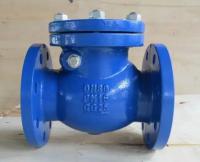 China Ductile Iron Flanged Brass Seat Swing Check Valve with Customized Port Size Non Return for sale
