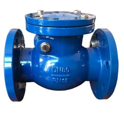 China OBM Supported Stainless Steel Cast Iron DIN Standard Flanged Check Valve for B2B Buyer for sale