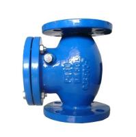China Double Flange Cast Iron ggg50 DI Swing Check Valve for Y Type Structure ANSI Standard for sale
