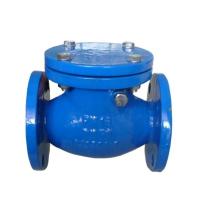 China Y Type DN200 Flange End Swing Check Valve PN16 for Customized OBM Customization Support for sale