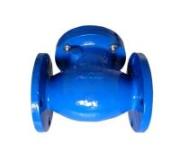 China DN200 PN16 Flange End Swing Check Valves with Customizable Port Size Y Type Strainer for sale