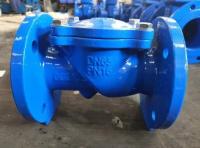 China Customized Flange One-Way Check Valve for Anti-Backflow Protection in Water Systems for sale