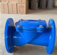 China Customized DN50-DN600 Non Return Dual Plate Check Valve for Industrial Applications for sale