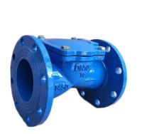 China Complete Certificate High Temperature Corrosion Resistant Rubber Plate Swing Check Valve for sale