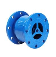 China DN65 Cast Iron Silent Check Valve for Energy Saving in Water Media and OEM Port Size for sale